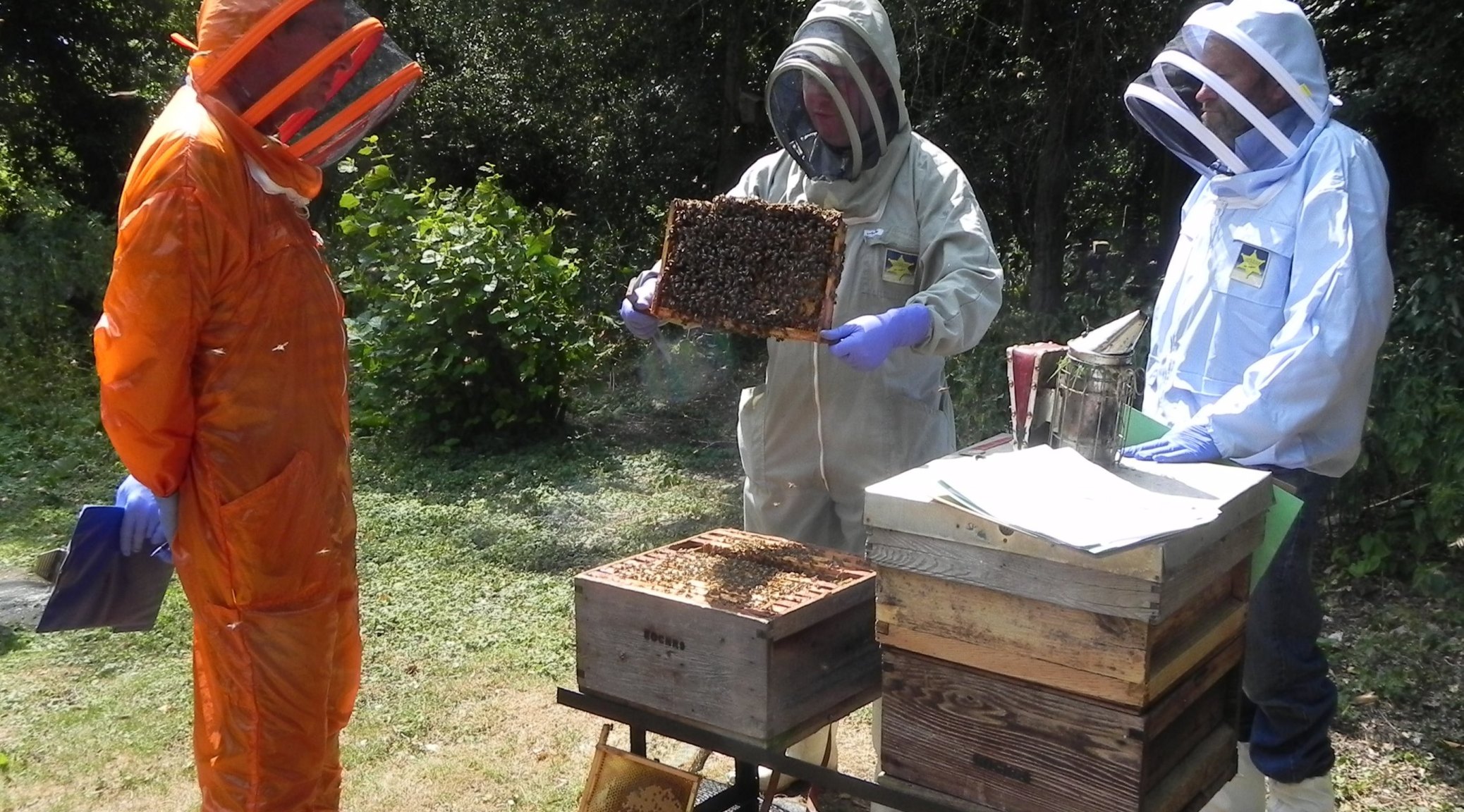 Candidate Guidance | National Diploma in Beekeeping